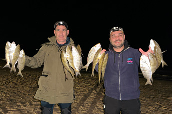le Ver de sable - Appât ver vivant - Normandie Appâts